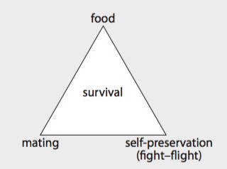 Survival Triad – Fifth Press